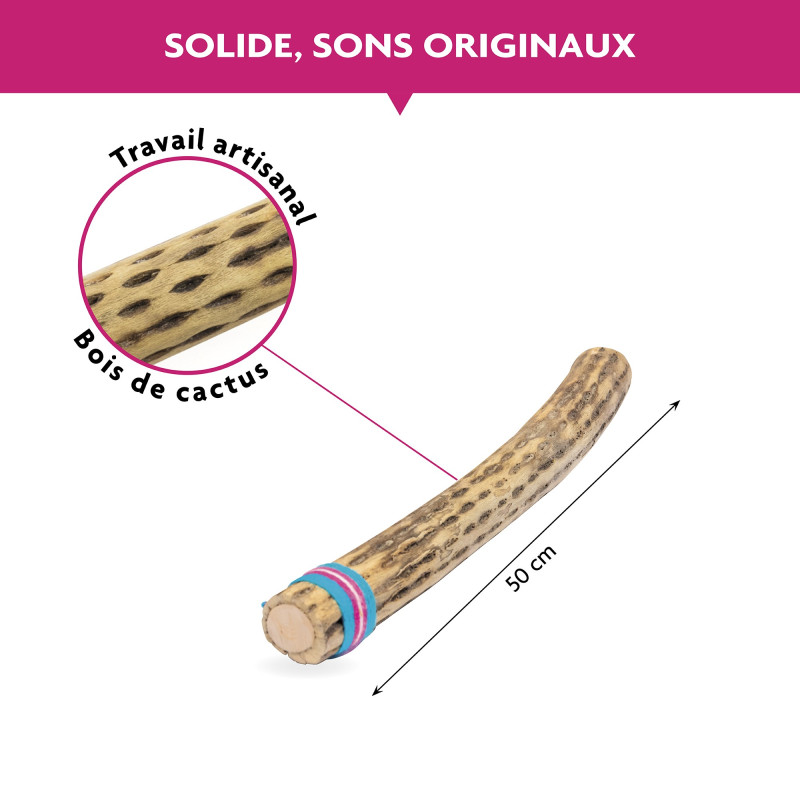 Bâton de Pluie | En Cactus | Dimension 50 cm | Fuzeau